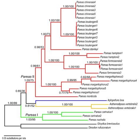 The Maximum Likelihood Tree Inferred From The Concatenated