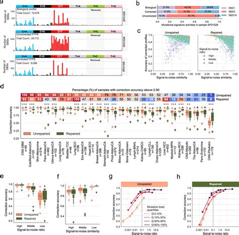 Correction Of Ffpe Artefacts In Synthetic Ffpe Samples Using Ffpesig A