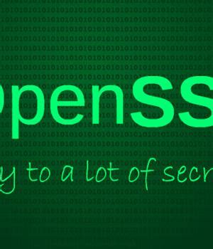 OpenSSL Releases Patch For New High Severity Vulnerabilities Vumetric Cyber Portal