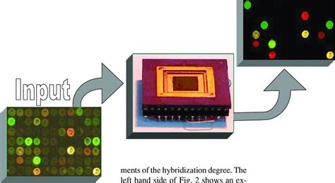 The Cnn Chip For Dna Microarray Processing Download Scientific Diagram