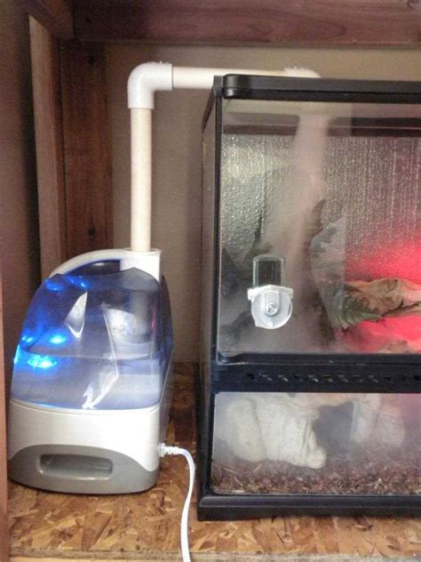 The Importance Of Using A Humidifier For Ball Pythons Vital Frog