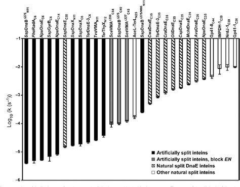 Figure 1 From Natures Recipe For Splitting Inteins Semantic Scholar