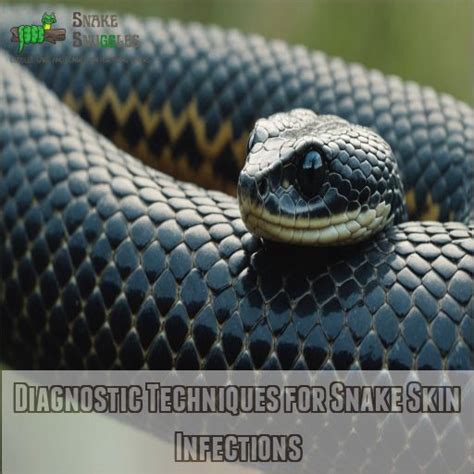 Diagnosing Snake Skin Infection Symptoms And Solutions Unveiled