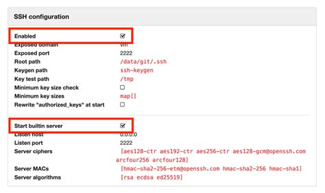 Securing Developer Tools Unpatched Code Vulnerabilities In Gogs 12 Sonar