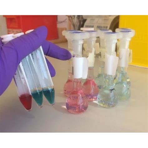 Human Cell Line At 250000 Inr In New Delhi Delhi Progenbiolab