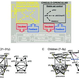 The Fronto Parietal Network Orienting Online Control And The Download Scientific Diagram