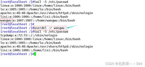 linux系统安全及应用 csdn博客