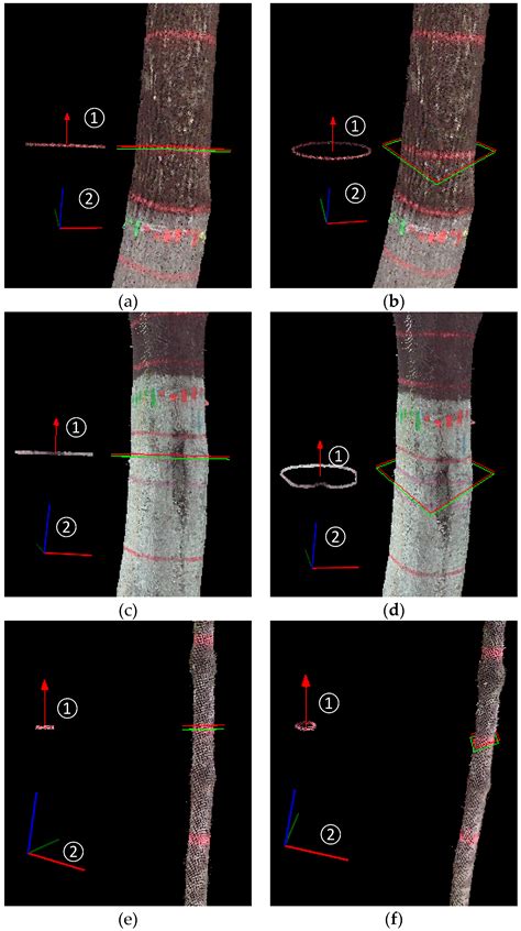 Precise Measurement Of Stem Diameter By Simulating The Path Of Diameter