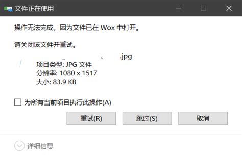 软件bug还是什么可以解释一下吗 Issue Wox launcher Wox GitHub