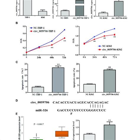 Top 10 Variables Most Important In Each Algorithm Download