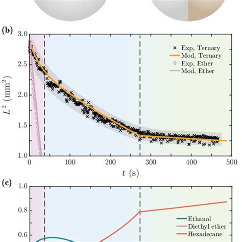 Evaporation Dynamics Of The Ternary Droplet A The Ideal Model Of An Download Scientific
