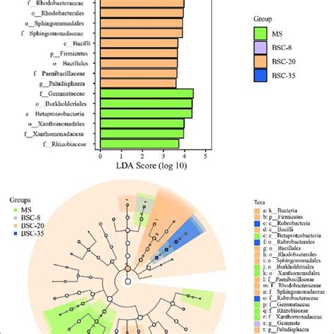 The Linear Discriminant Analysis Lda Effect Size Lefse Method