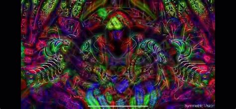 Symmetric Visions Mantid Visualization Rmantisencounters