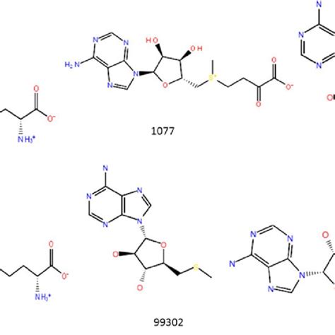 Structure Of Adenosine Analogues With Their Pubchem Id Download