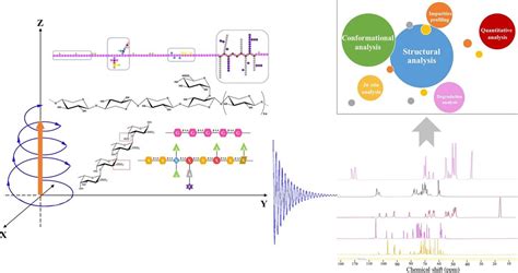 Carbohydrate Structure Overview Creative Biostructure