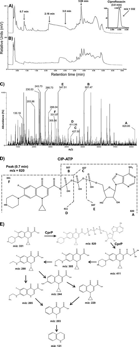 Crpp Is A Novel Ciprofloxacin Modifying Enzyme Encoded By The Pseudomonas Aeruginosa Pum505