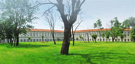 yildiz technical university