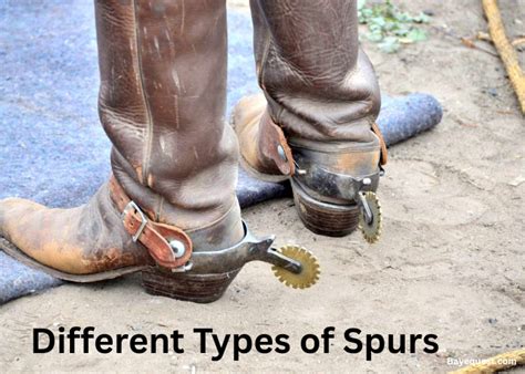 The Complete Guide To Different Types Of Spurs