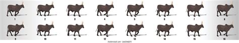 Bull Walk Cycle Animation Frames Loop Stock Vector Royalty Free