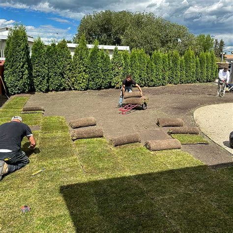 Grass And Sod Altacan Landscaping