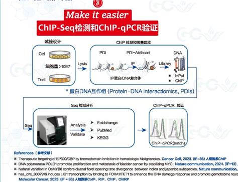 Chip Seq原理，要点，优劣势 知乎