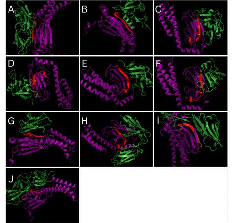 Results Of Docking From Haddock 24 Tkd Tagged As Active Residue A Download Scientific