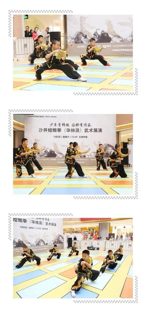 「非遺」魅力！沙井本土武術「華林螳螂拳」展演大秀！ 每日頭條