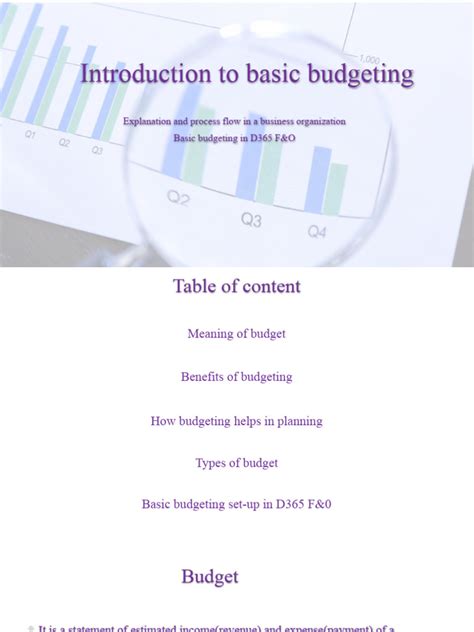 Introduction To Basic Budgeting D365 Pdf Budget Expense