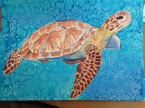 Green Sea Turtle Shell Drawing Green Sea Turtle Shell Drawing