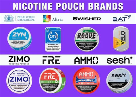 Top Nicotine Pouches Brands