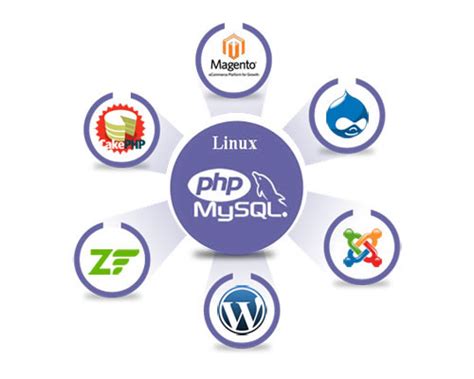 Professional Custom PHP Development Company In India