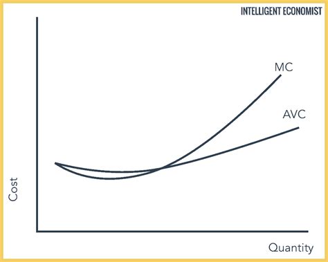 Average Variable Cost Explained Intelligent Economist