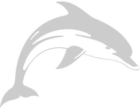 Dolphin 36630553 Vector Art At Vecteezy