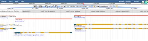 Promoter Identification In Plants R Bioinformatics