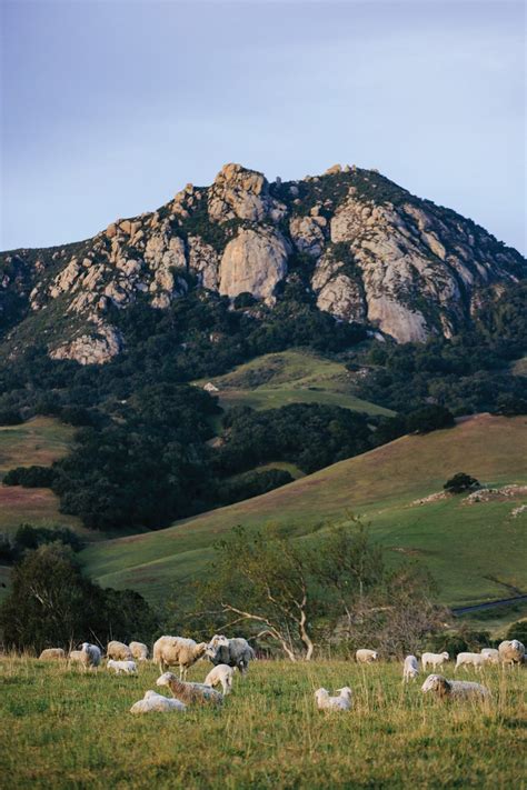 Cal Polys Other P Cal Poly Magazine