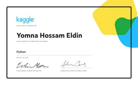 Yomna Hossam El Deen Abdelaziz On Linkedin Yomna Hossam Eldin Completed The Python Course On