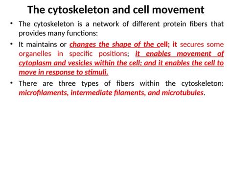 Cytoskeleton Structure Microfilaments Microtubules And Intermediate