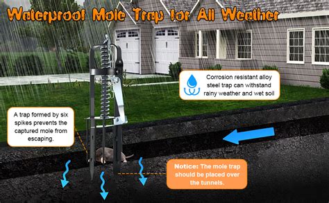 Qualirey 2 Pc Mole Trap For Lawns Spear Style Mole Killer