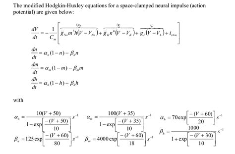 The Modified Hodgkin Huxley Equations For A