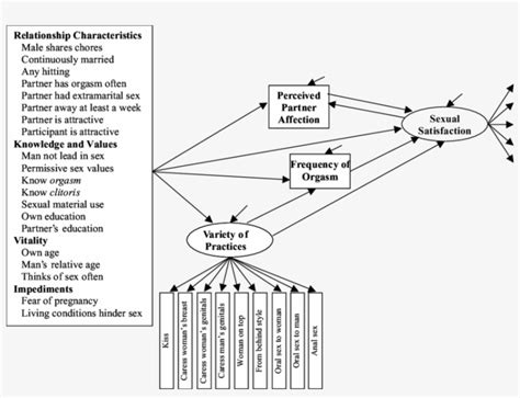 A Model Of Sexual Behavior And Sexual Satisfaction Human Sexual