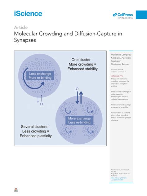 Molecular Crowding And Diffusion Capture Pdf Synapse Chemical Synapse