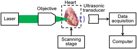 Schematic Of The PAM System Download Scientific Diagram