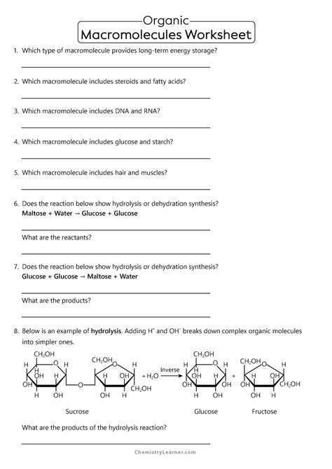 Macromolecules Worksheets