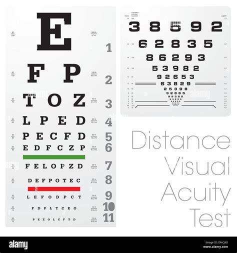 Distance Visual Acuity Test Stock Vector Image And Art Alamy