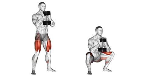 Goblet Squat Vs Sumo Squat Which One Is Best Fitness Volt