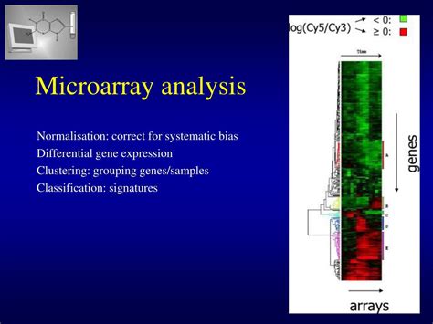 Ppt Introduction To Bioinformatics Powerpoint Presentation Free