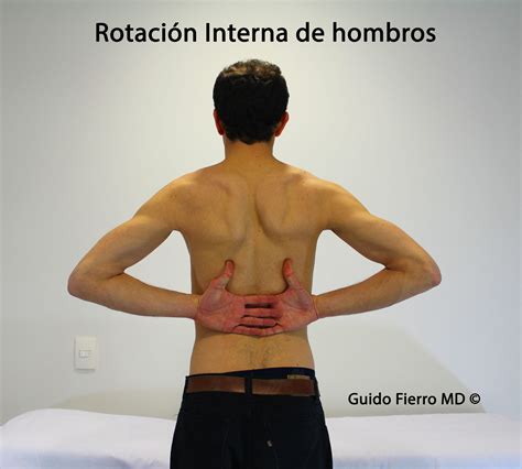 Movilidad Del Hombro Guido Fierro