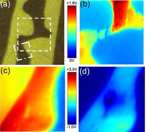 12 Polycrystalline Eumno 3 0 5 Ymno 3 0 5 Sample A Polarized Download Scientific