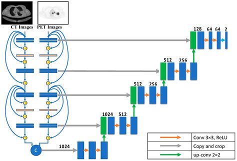 Diagnostics Free Full Text Hyper Denselungseg Multimodal Fusion