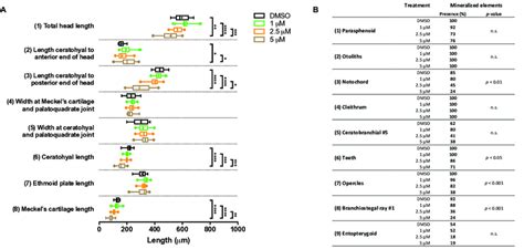 Morphometric Analyses Of Cartilage And Bone Elements In 5 Dpf Wild Type Download Scientific